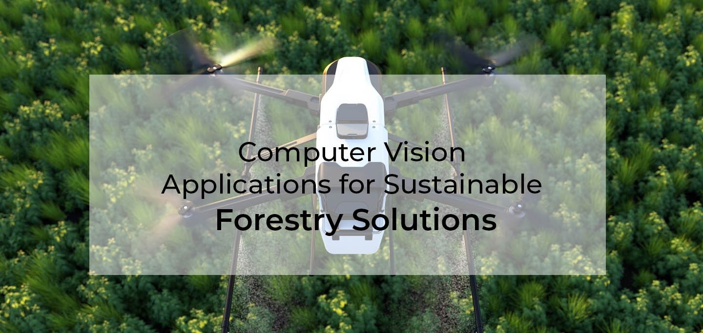 Computer Vision Applications for Sustainable Forestry Solutions